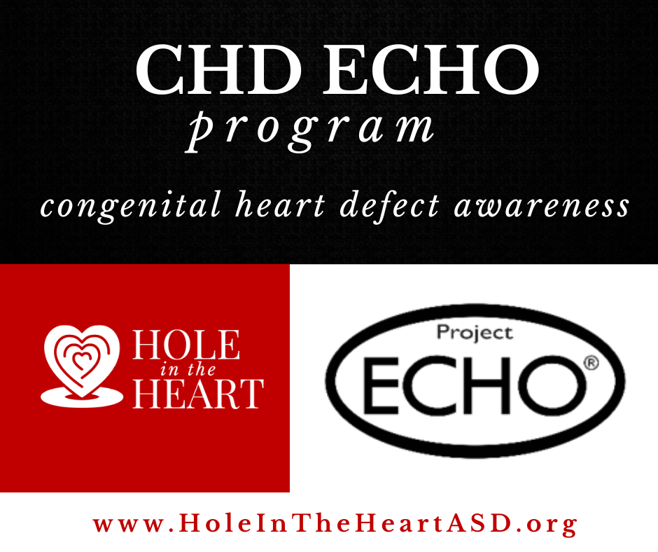 Our CHD ECHO program | Hole In The Heart